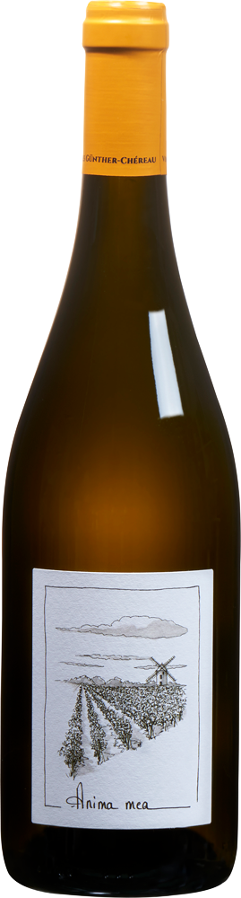 Anima Mea - Muscadet Sèvre et Maine sur lie - VGC